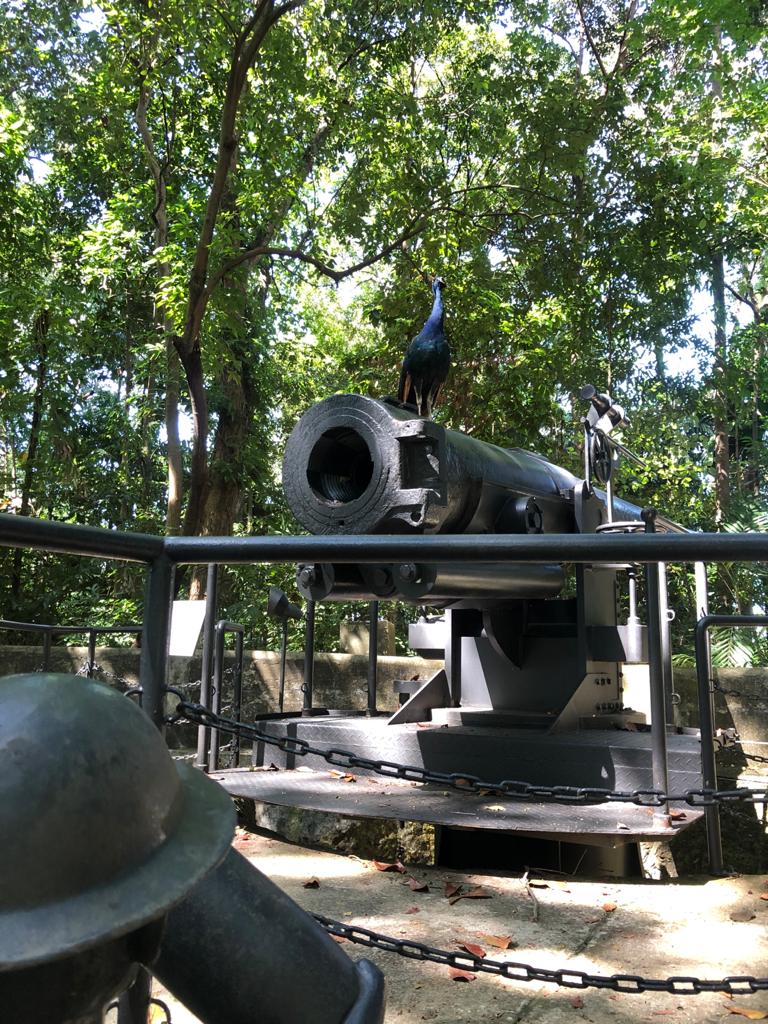 Alexandra, Labrador Park and Sentosa Island – Bike-a-Local